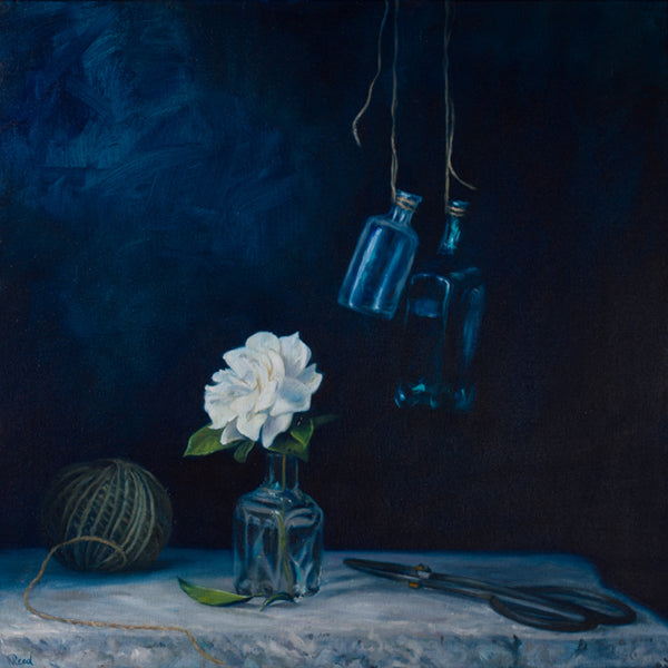 Still Life Paintings – Nicole Reed
